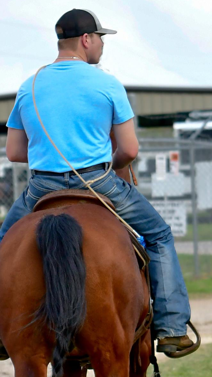 Roping Supplies – Webb Ropes