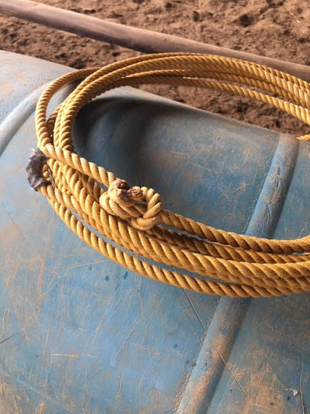 Poly Ropes – Webb Ropes